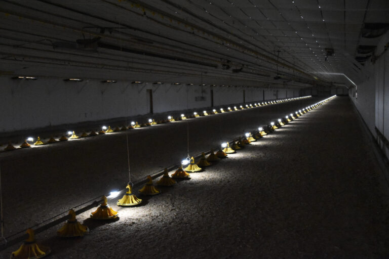 Optient Gradient Lighting | VAL-CO