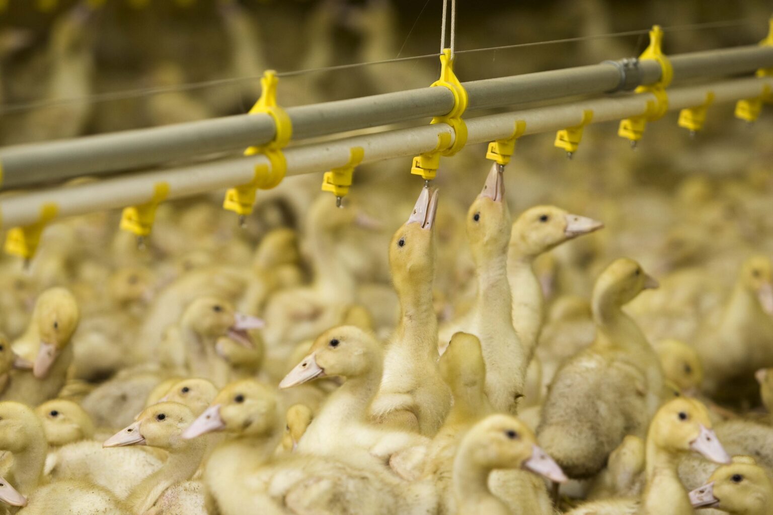 Ventilation Archives | VAL-CO